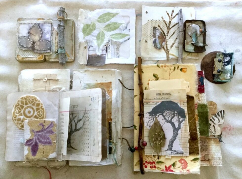 Book of Trees with Roxanne Evans Stout | Jeanne Oliver