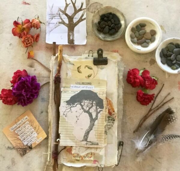 Book of Trees with Roxanne Evans Stout | Jeanne Oliver