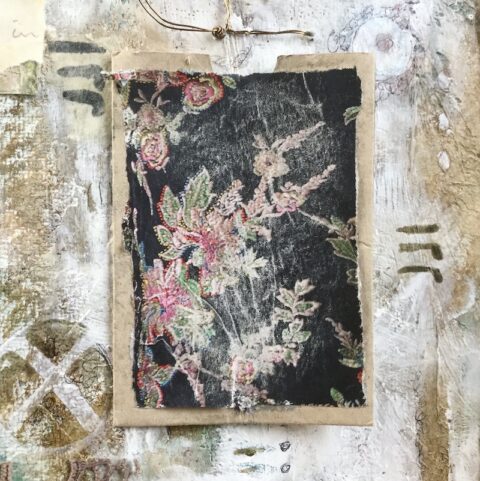 Daydreams and Window Light with Roxanne Evans Stout | Jeanne Oliver