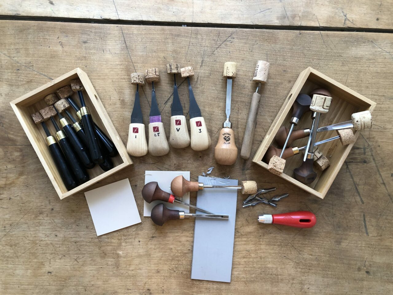 Linocut Bootcamp with Sofie Strasser - Jeanne Oliver