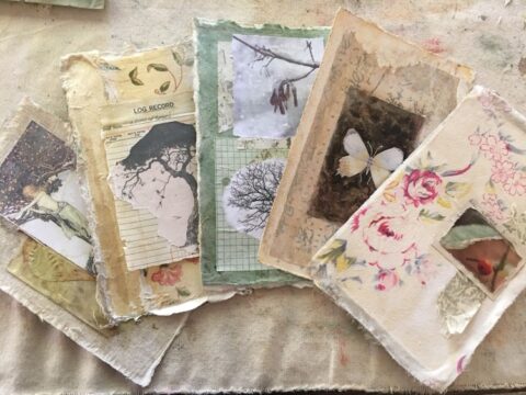 Book of Trees with Roxanne Evans Stout - Jeanne Oliver