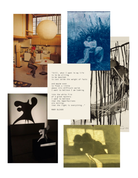 Modern + Artful Design No. 15 | Shadows + Light - Jeanne Oliver